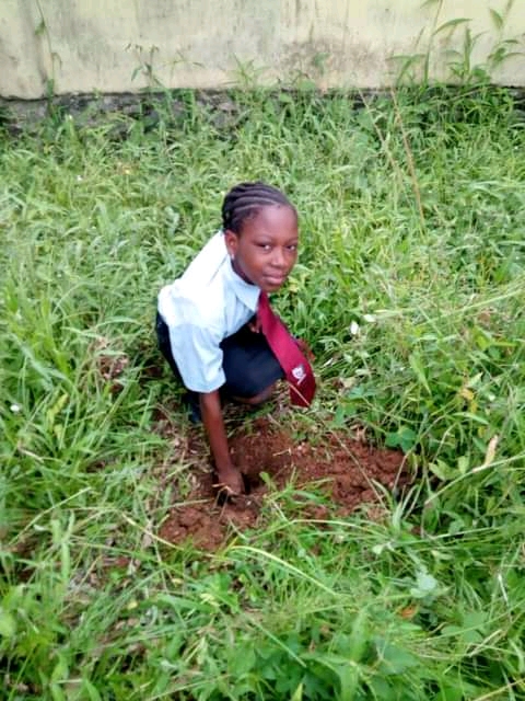 Climate Education At Henry Alex Duduyemi Memorial College - Society for ...